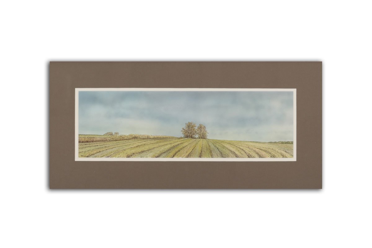 The Rookery – Limited Edition Giclée Print – Simon Wilcox